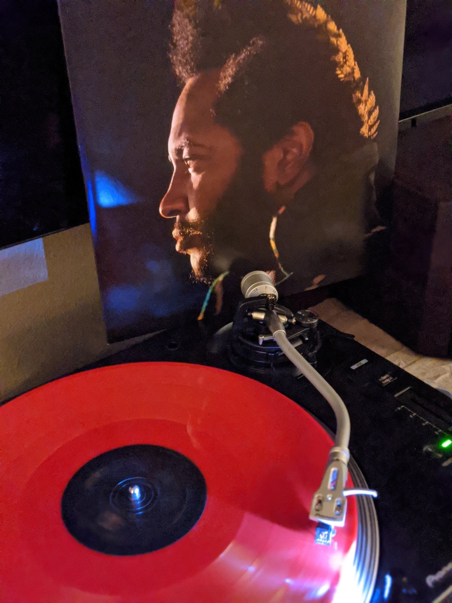 Paladin Vinyl Subscription Series – Paladin Vinyl